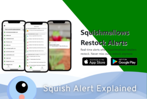 Squish Alert Explained: This App is Your Squishmallow Personal Shopper ...